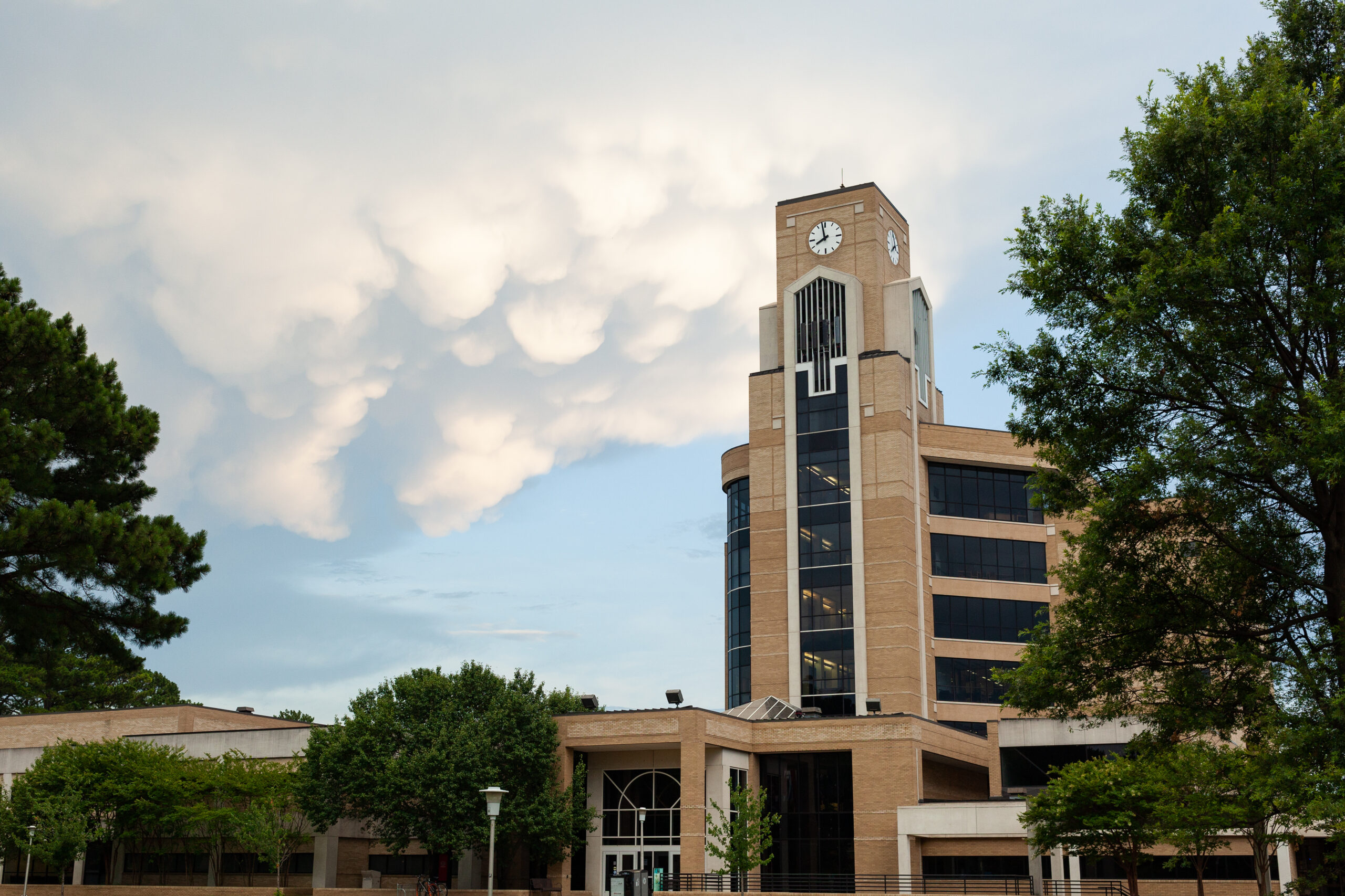 Arkansas State University - ASU System